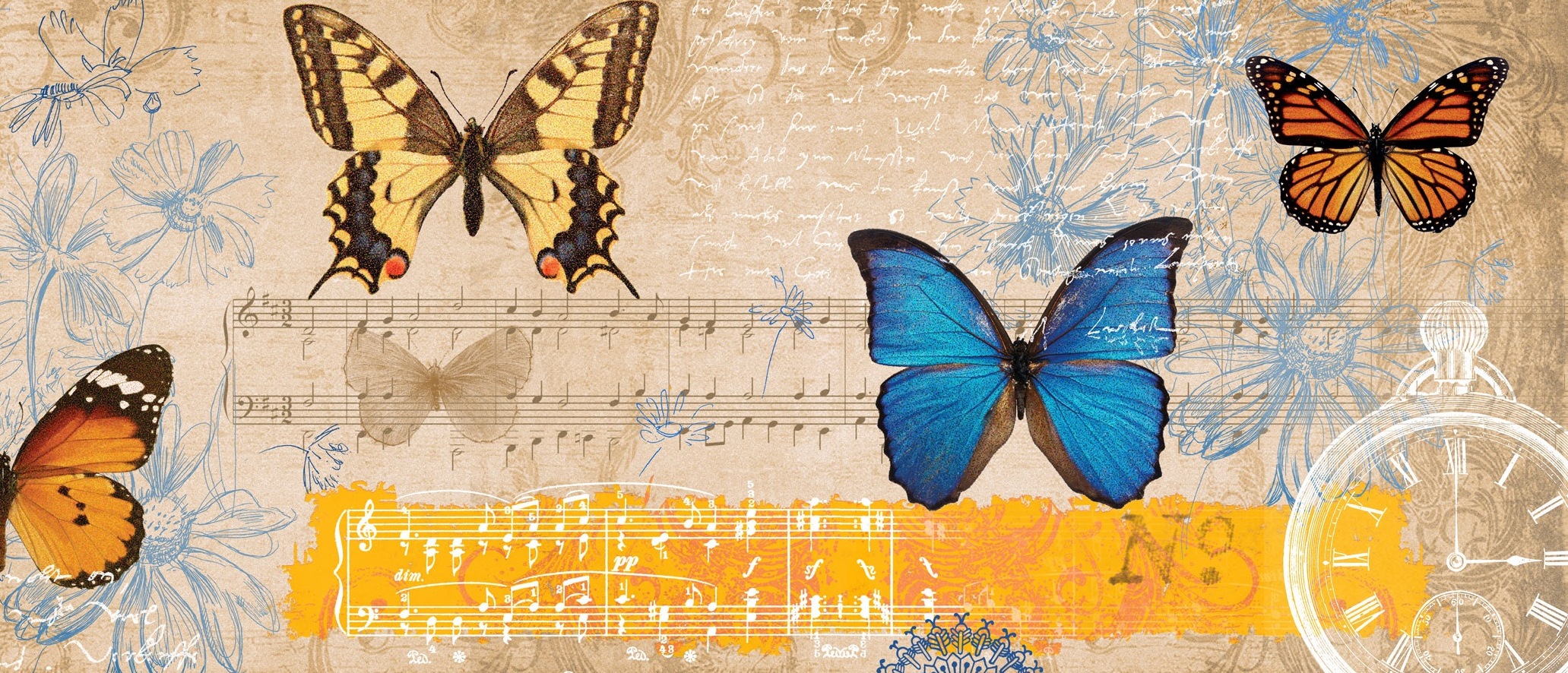 Le Chantre des Insectes - Musique Sacrée